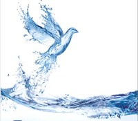 Baptême adulte — Paroisse Sainte-Thérèse en Annecy